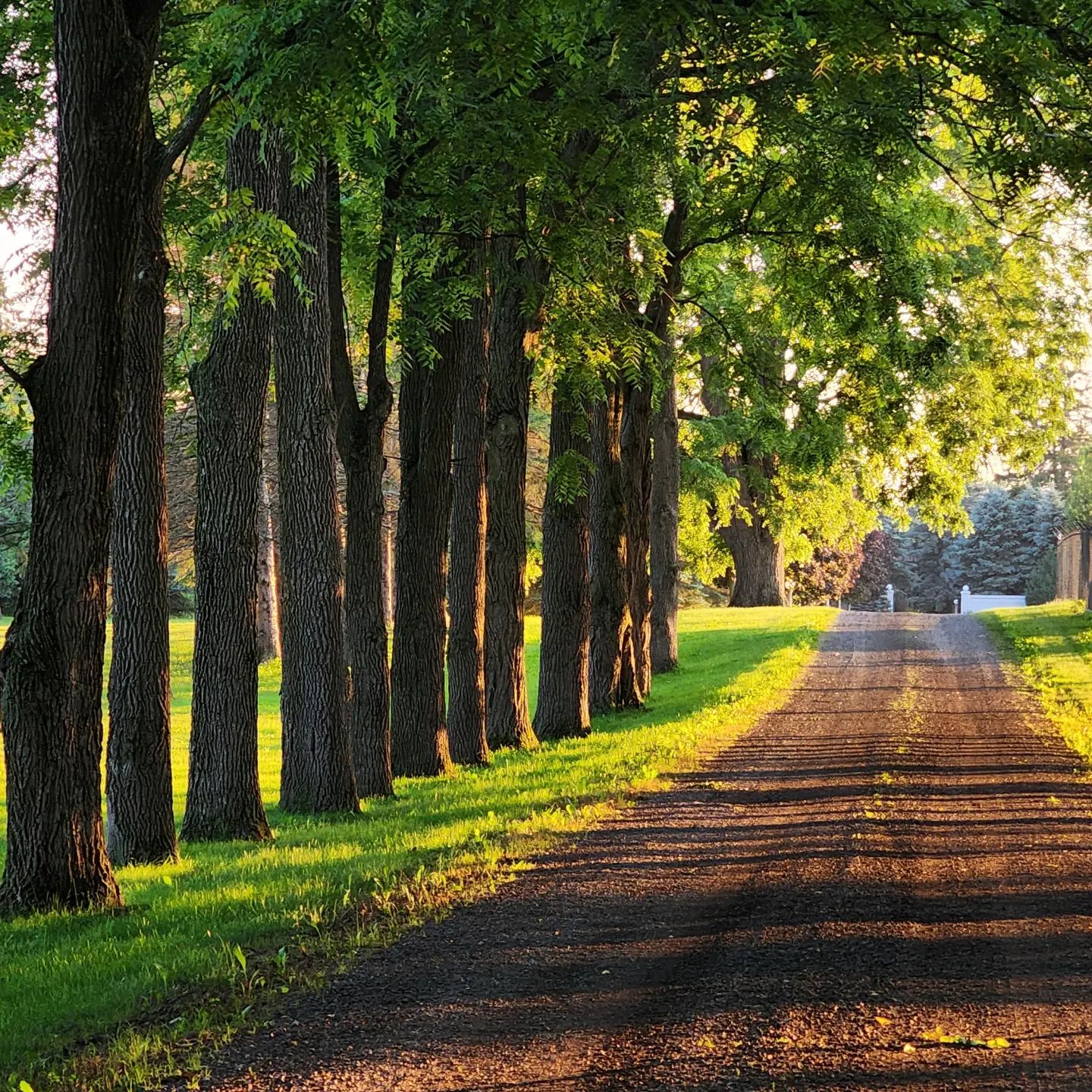 Gallery - Grand Paradise Estates